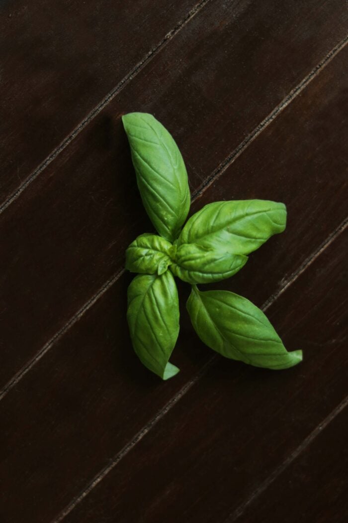 10 Ways to Use Basil in Witchcraft