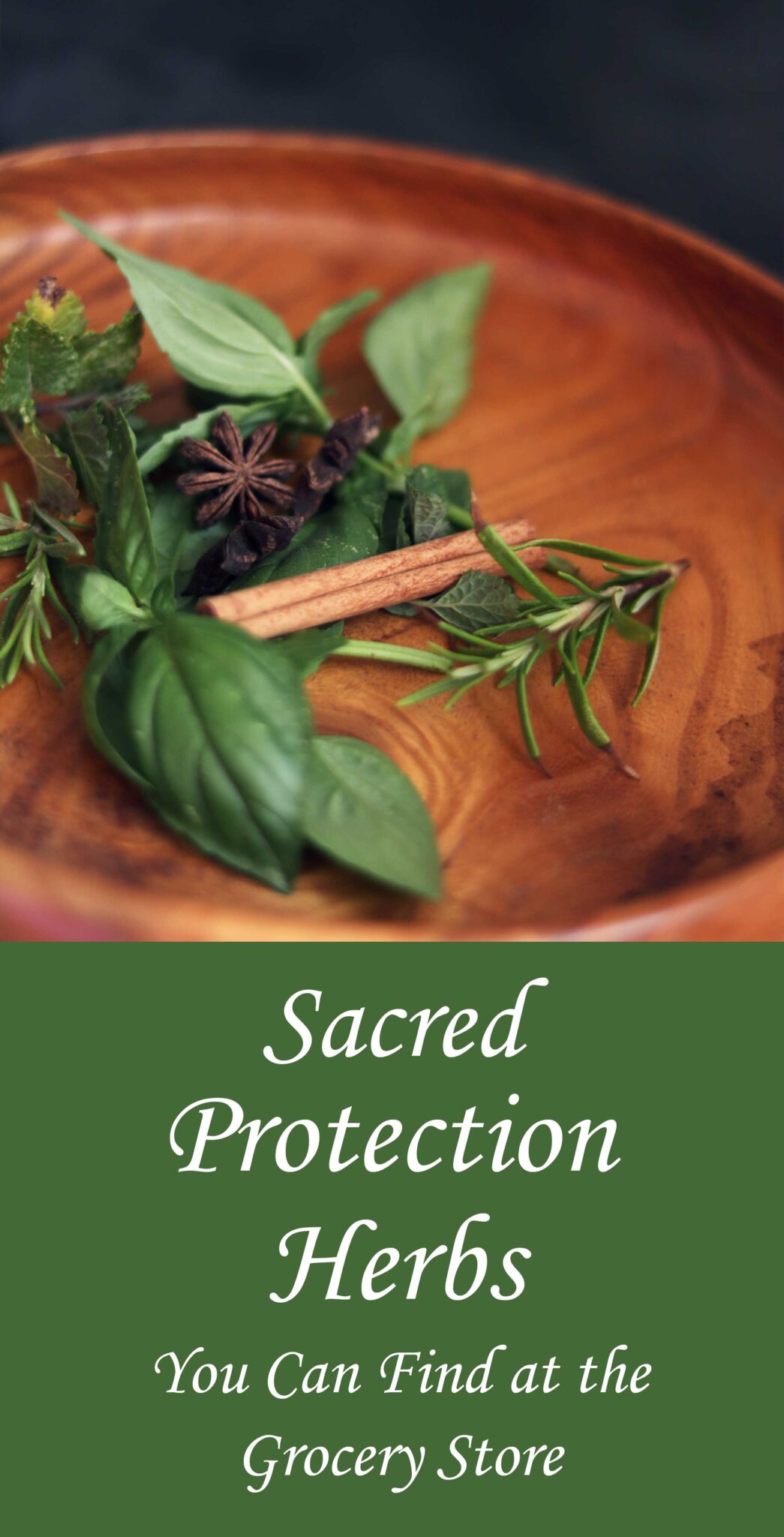 9 Sacred Protection Herbs & Spices to Know