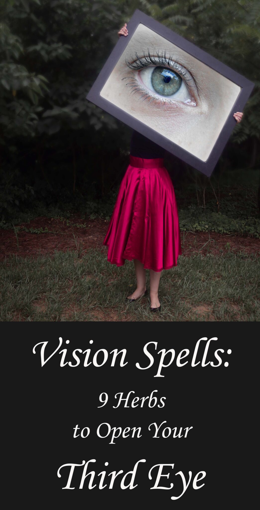 Vision Spells: 7 Third Eye Opening Herbs to Know