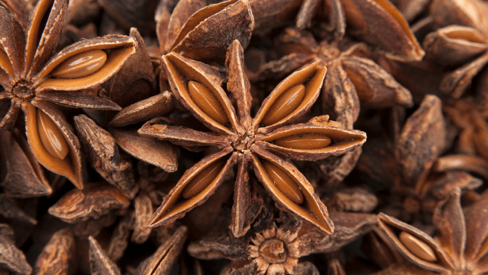 Anise in Witchcraft: Symbolism, Healing & Magical Properties