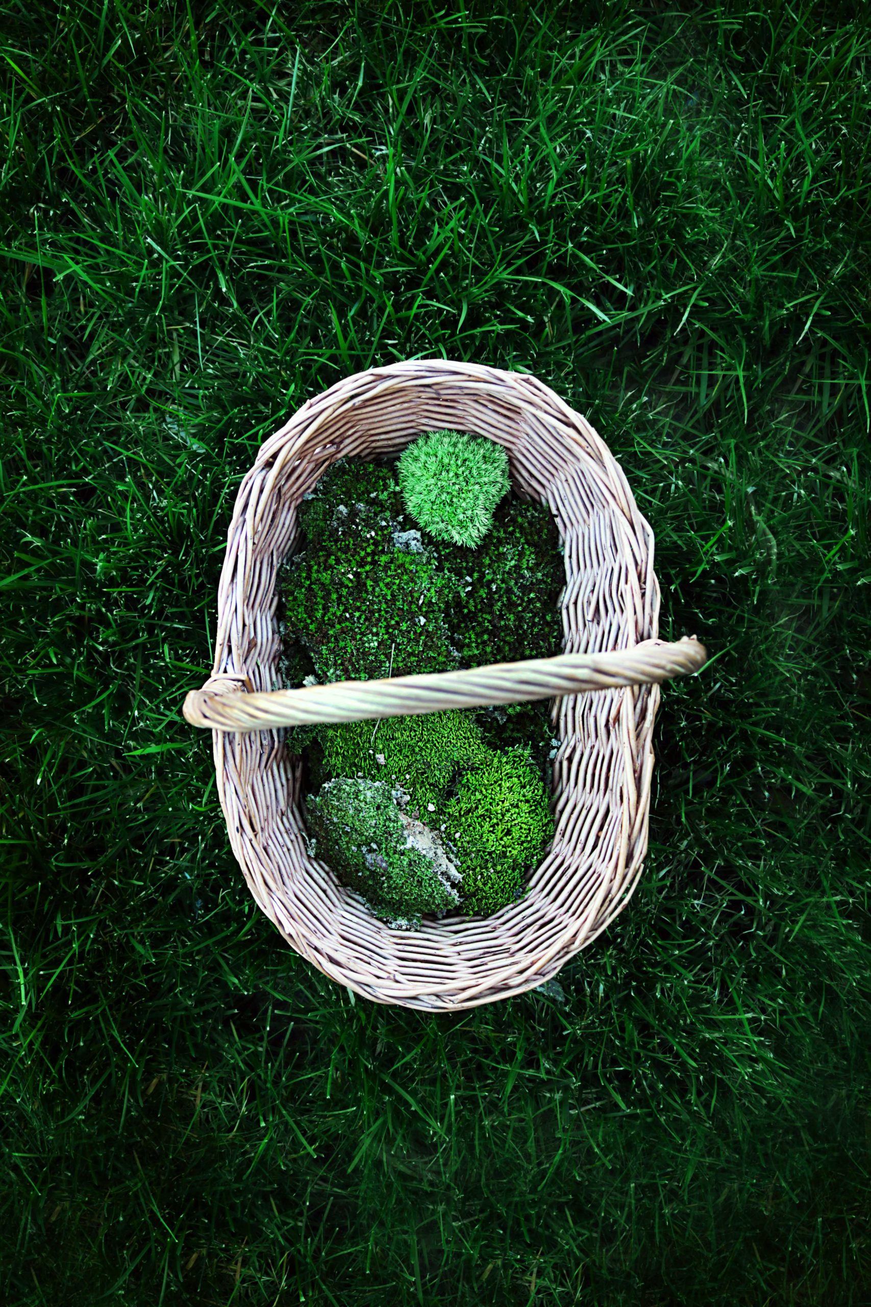 How to Create Elegant Ostara Baskets
