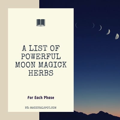 A List of Powerful Moon Magick Herbs [For Each Phase]