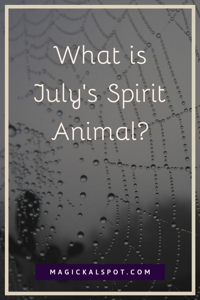 What is July's Spirit Animal? [+ How to Work With Its Energy]