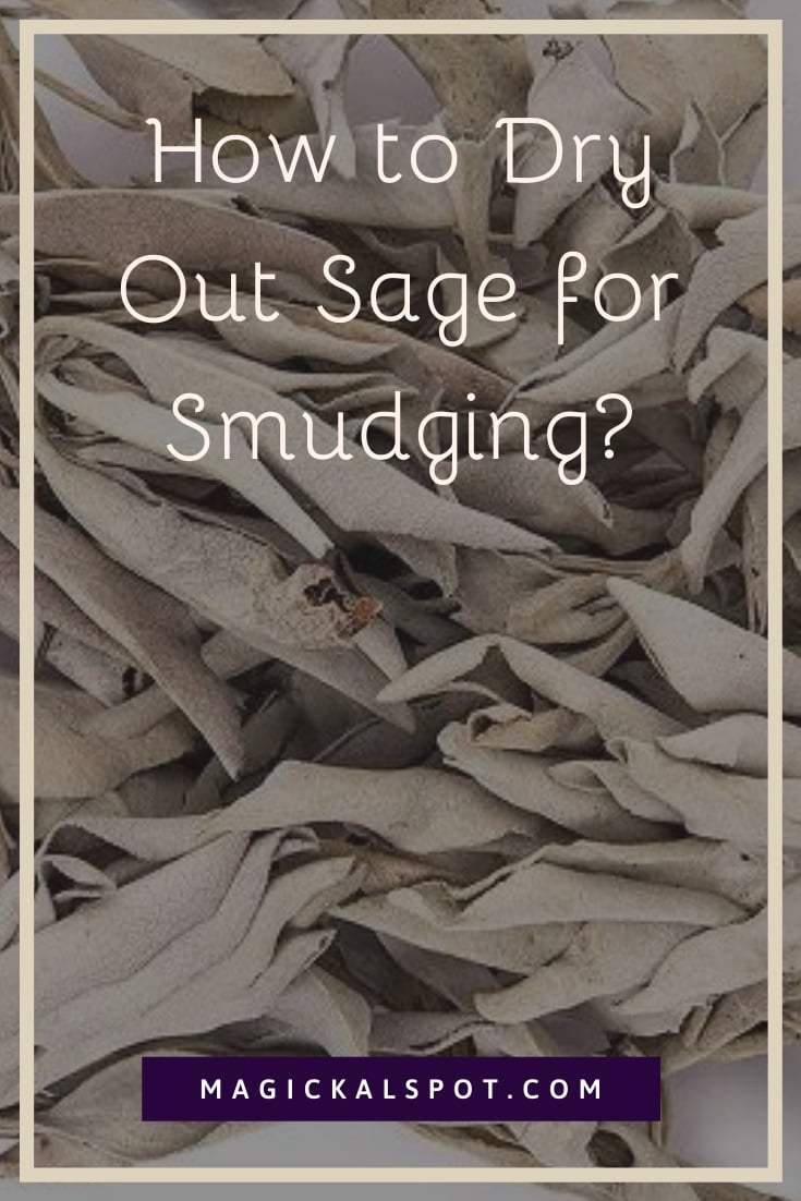 How to Dry Out Sage for Smudging? [3 Methods Explained]