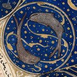 Pisces's Spirit Animal and Its Symbolic Significance
