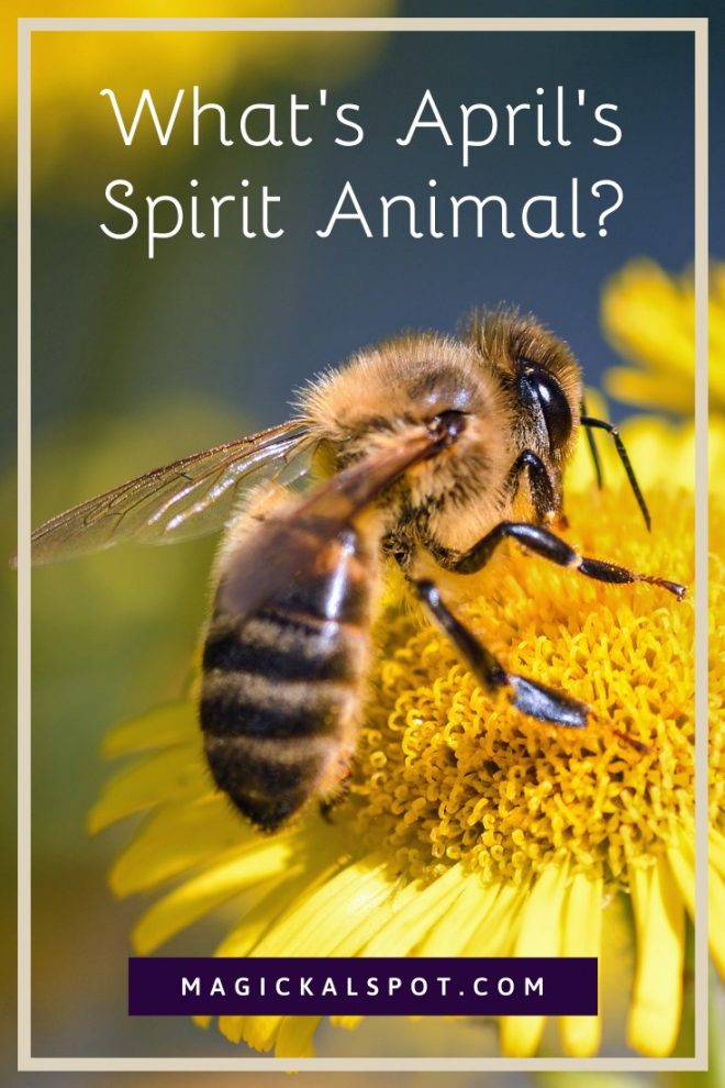What’s April’s Spirit Animal? [+ Working With Its Energy]