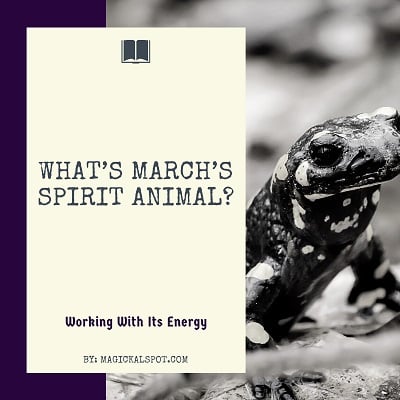 Connecting with March’s Spirit Animal: A Guide
