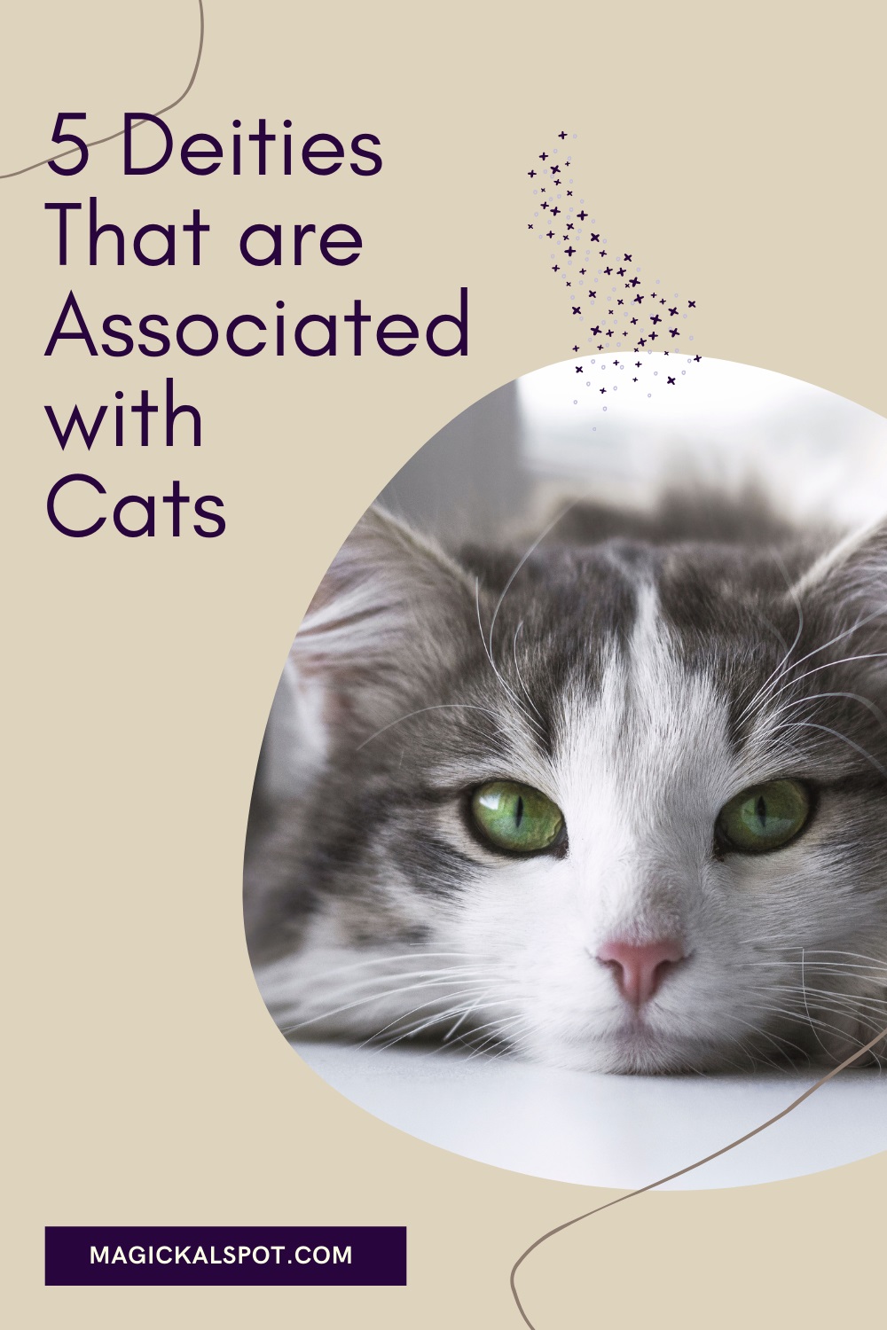 A List of 5 Deities Associated with Cats [With Stories]