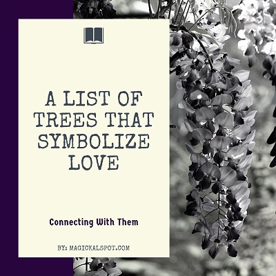 3 Trees that Symbolize Love & Connecting With Them