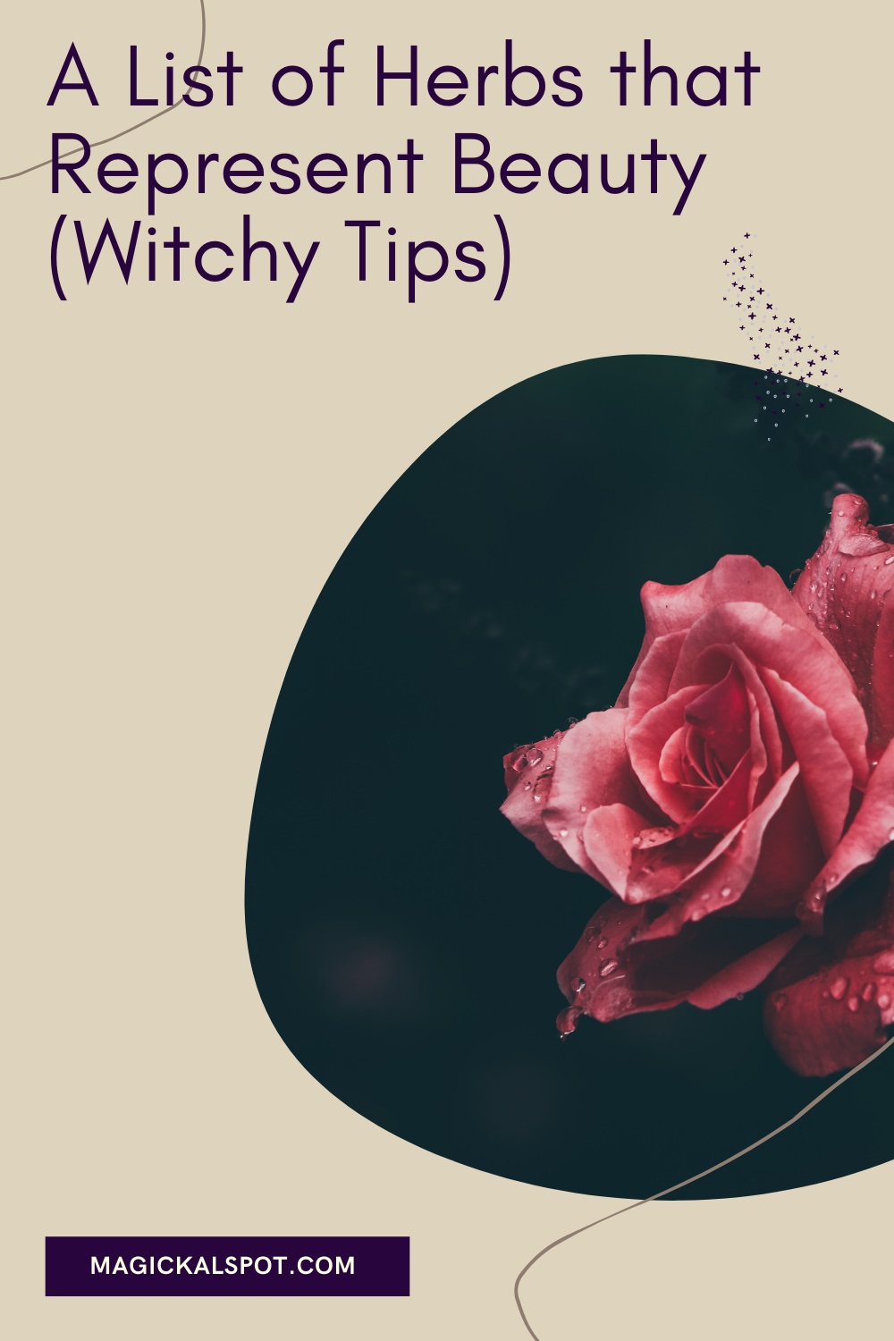 A Lovely List of Herbs that Represent Beauty (+ a Potion Recipe)