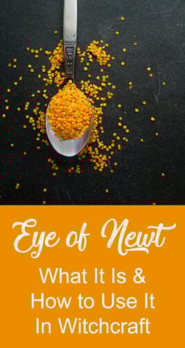 What is Eye of Newt & How Do You Use It in Spells?