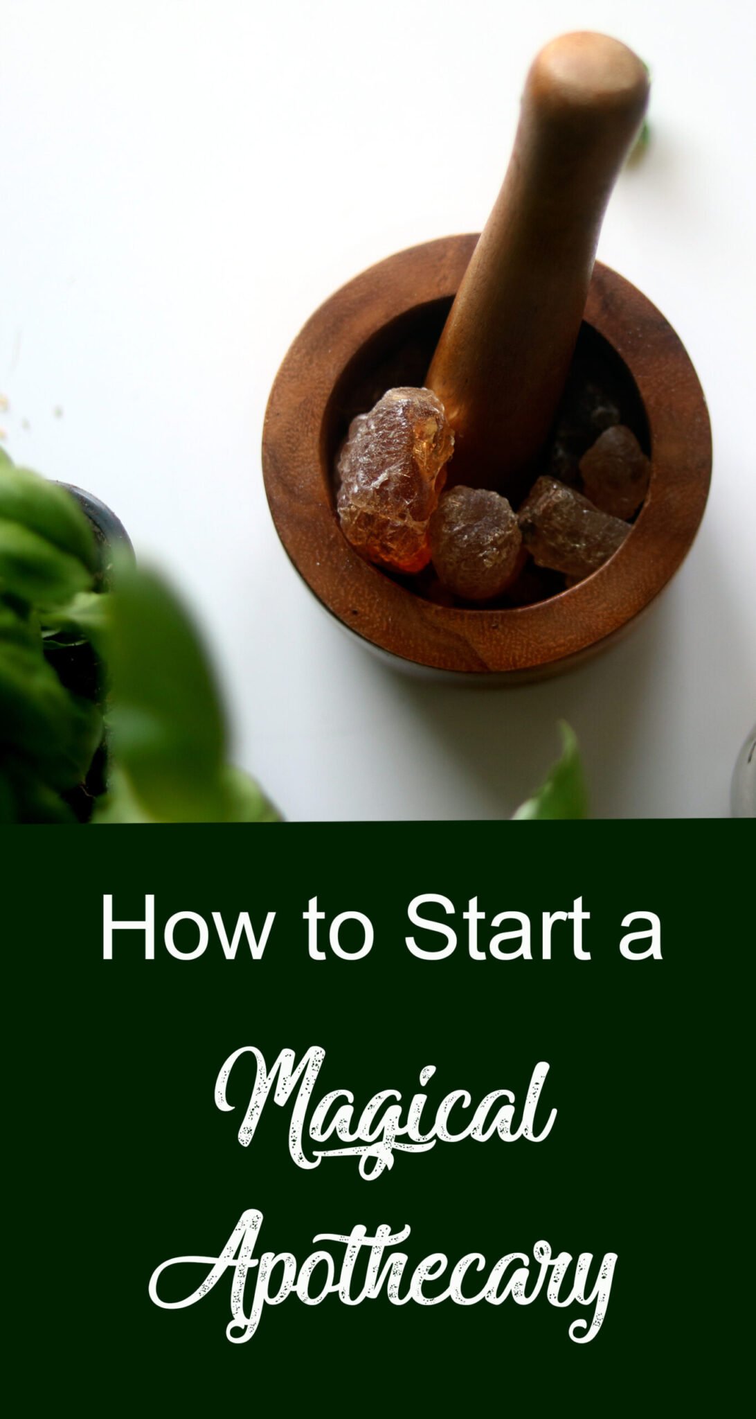 Cómo montar una botica mágica en casa