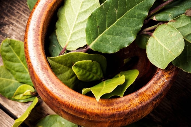 6 Magnificent Bay Leaf Magical Properties [DIY]