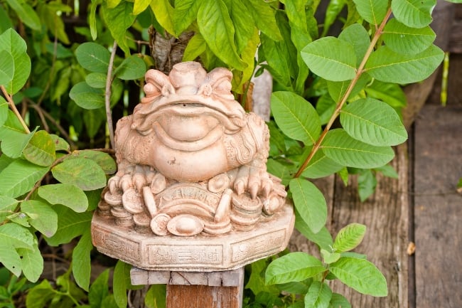 Explicación del Significado Espiritual de la Rana [Simbolismo y Sueños]