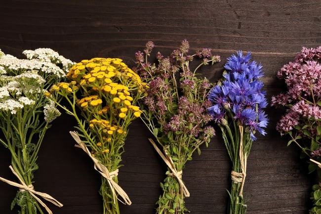 9 hierbas más fuertes para la prosperidad: Dinero, Suerte...