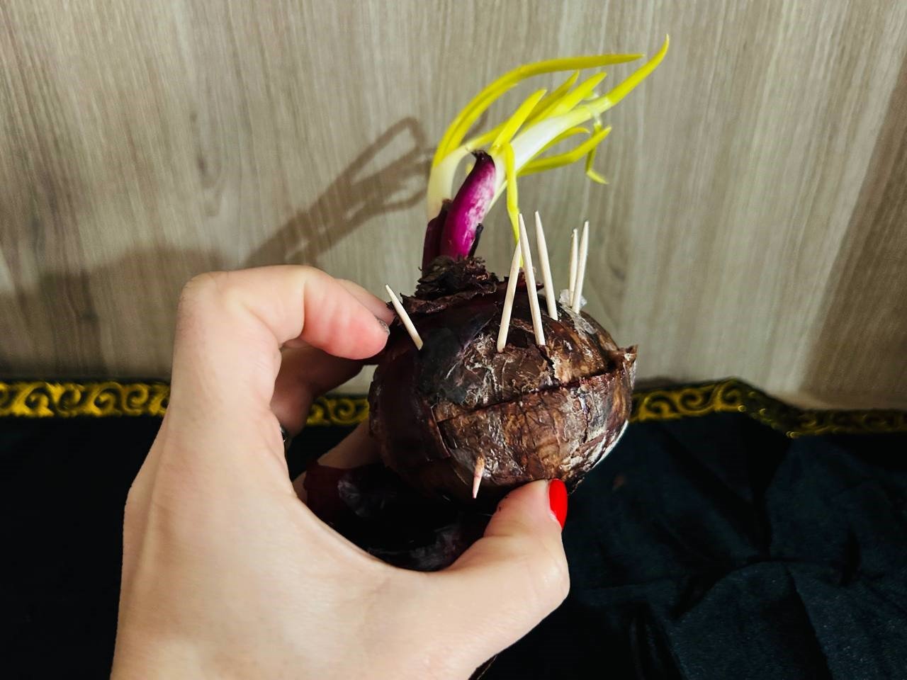 Onion Break Up Spell (DIY Cast Along)