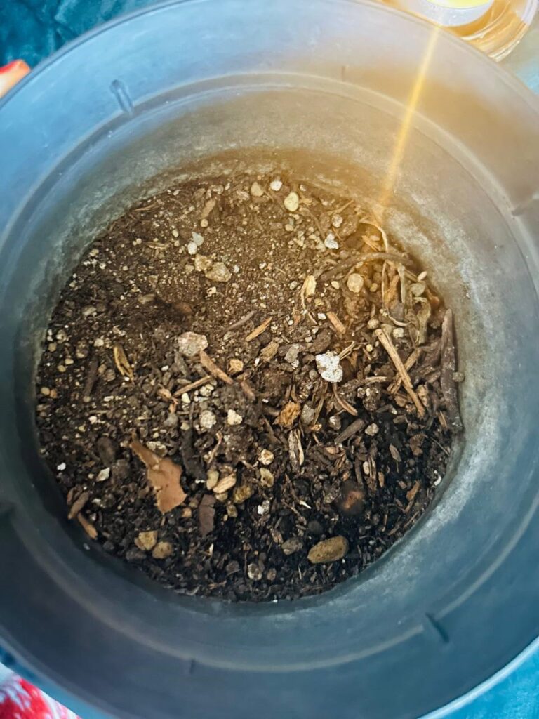 Pregnancy Spell with an Egg (DIY Cast-Along With Pictures)